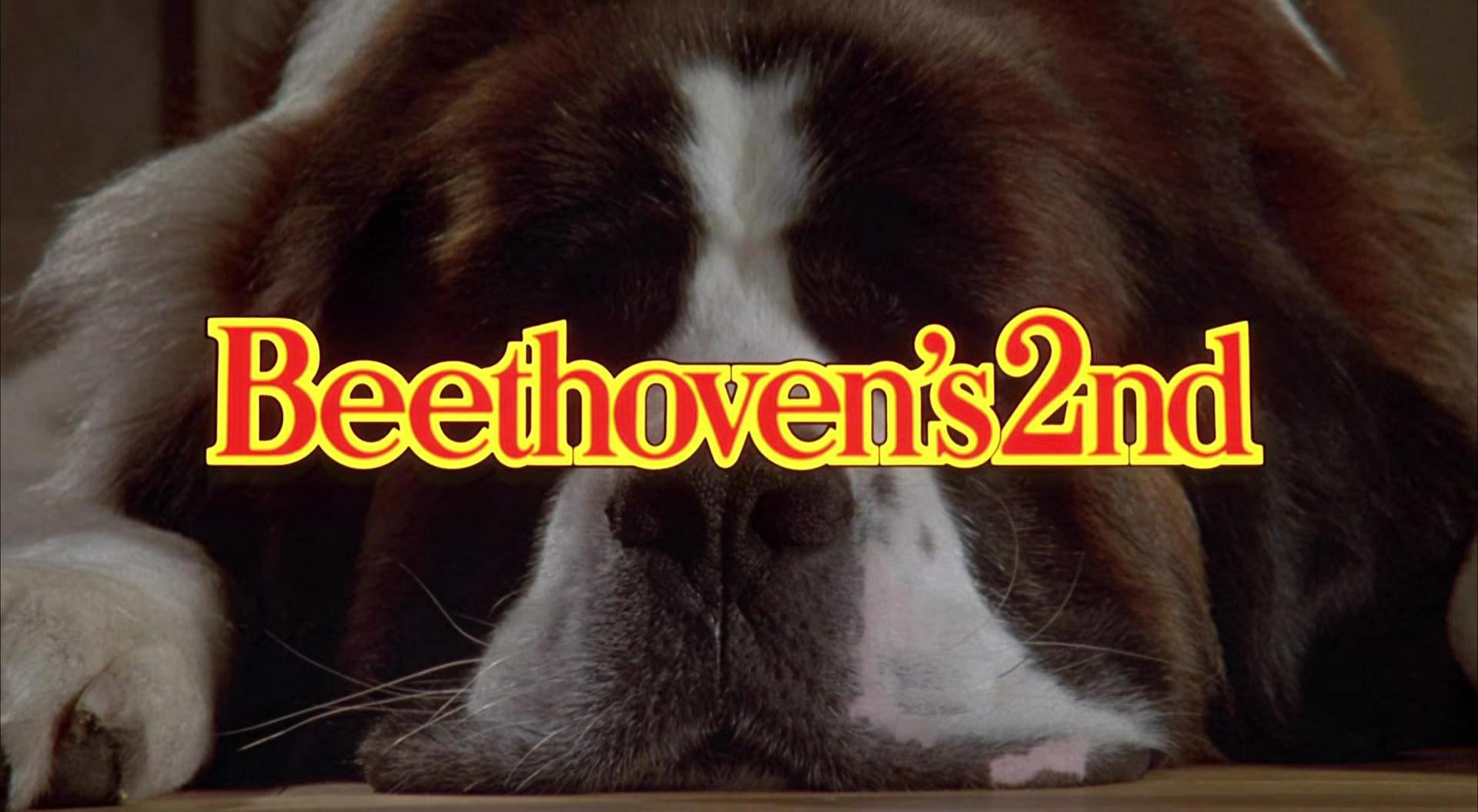 Beethoven’s 2nd (1993) | Screencaps.US
