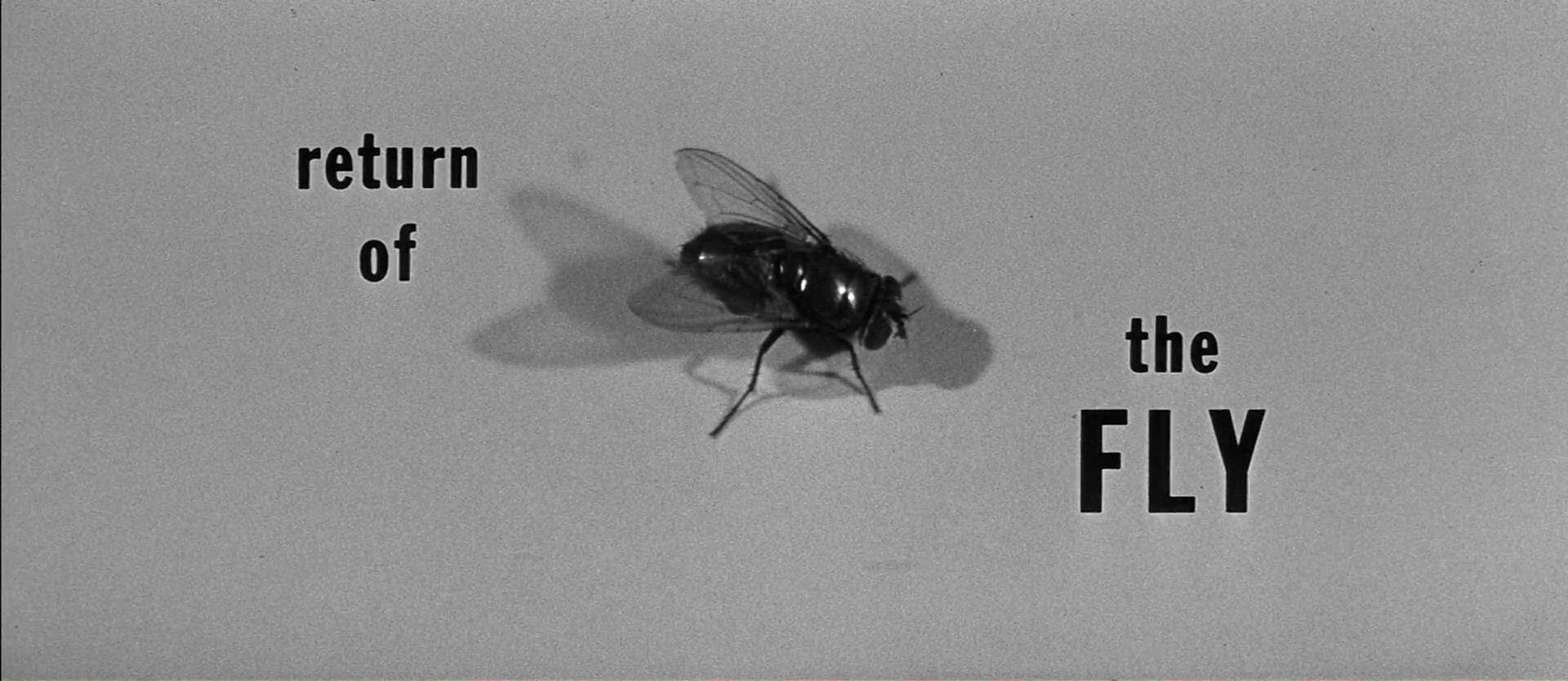 Return of the Fly (1959) | Screencaps.US